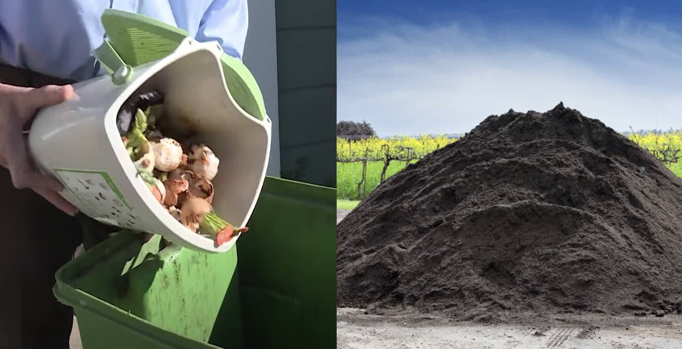 What Are The Types Of Composting? - TMK