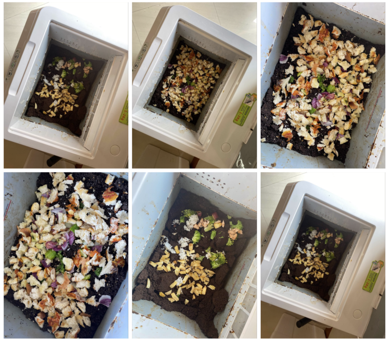 What exactly can you put in your electric food waste composter? - TMK