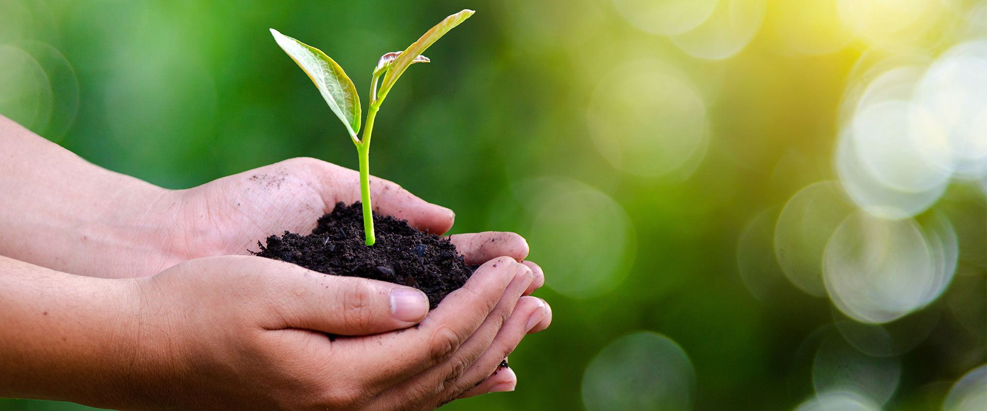 Everything you need to know about Composting - TMK