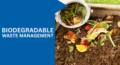 Biodegradable vs. Non-Biodegradable: Understanding the Environmental Impact - TMK