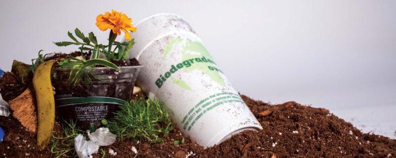 Biodegradable vs. Non-Biodegradable: Understanding the Environmental ...